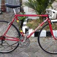 Jual Sepeda Raleigh Terbaik - Harga Murah Maret 2024 & Cicil 0%
