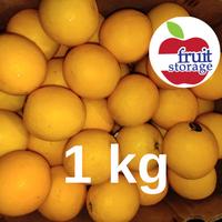 Jual Jeruk 1kg Murah - Harga Terbaru 2024