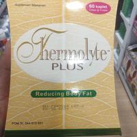 Jual Thermolyte Plus 60 Murah - Harga Terbaru Juni 2024