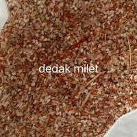 Jual Dedak Terlengkap & Terbaik - Harga Murah Oktober 2025
