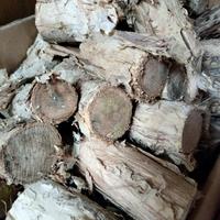Jual Kayu Gelam Terbaik - Harga Murah Mei 2024 & Cicil 0%