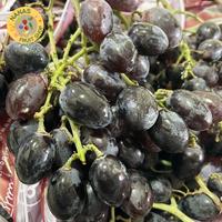 Jual Anggur Autumn Terdekat - Harga Murah & Grosir April 2024