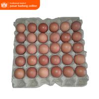 Jual Krat Telur Terdekat - Harga Murah & Grosir Juli 2025