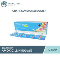 Jual Amoxicillin Murah - Harga Terbaru Mei 2024