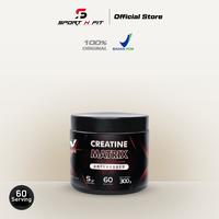 Jual Provus Creatine Murah - Harga Terbaru 2024