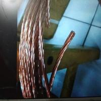 Jual Kabel Bc 25Mm Terbaik - Harga Murah Maret 2024 & Cicil 0%