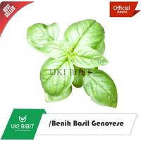 Jual Benih Basil Terdekat - Harga Murah & Grosir Februari 2024