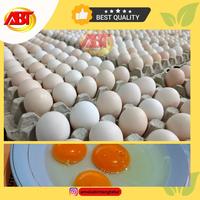 Jual 1 Butir Telur Terdekat - Harga Murah & Grosir Mei 2025