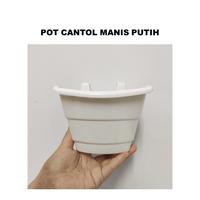 Review Pot Dinding Tempel Tembok Cantol Manis Tanaman Kebun Vertikal ...
