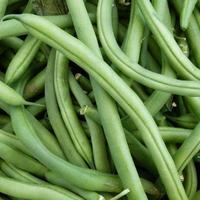 Jual Buncis 1 Kg Terdekat - Harga Murah & Grosir Juni 2024
