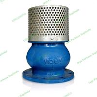 Jual Foot Valve 6 Inch Terbaik - Harga Murah Maret 2025 & Cicil 0%
