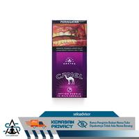 Camel Ungu dengan Rasa Fruity Februari 2024