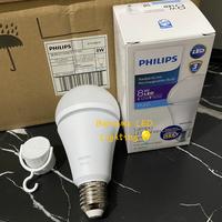 Jual Philips Emergency Light Terlengkap - Daftar Harga April 2024 & Cicilan 0%