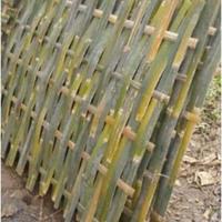 Jual Gedek Bambu Terlengkap - Harga Murah Juni 2025