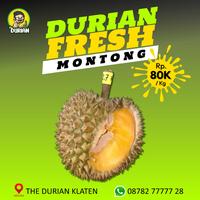 Jual Durian Cane Terdekat - Harga Murah & Grosir April 2024