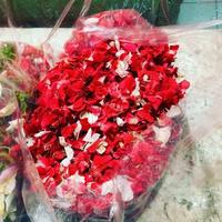 Jual Bunga Makam Terlengkap - Harga Murah & Grosir April 2024