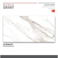 Jual Granit 120X60 Terbaik - Harga Murah Maret 2025 & Cicil 0%