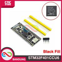 Review STM32 STM32F4 STM32F411CEU6 STM32F401CCU6 ARM Cortex M4 USB Type ...