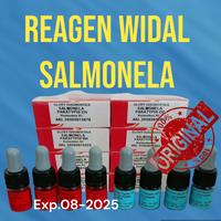 Jual Reagen Widal Murah - Harga Terbaru Juni 2024