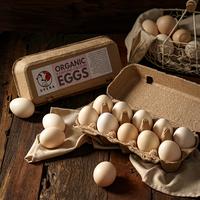 Jual 1 Butir Telur Terdekat - Harga Murah & Grosir Juni 2024