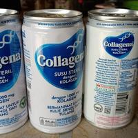 Jual Susu Collagena Murah - Harga Terbaru Februari 2025