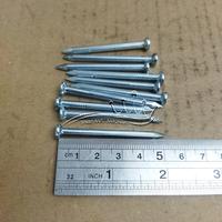 Jual Paku 5 Cm Terbaik - Harga Murah Juli 2025 & Cicil 0%