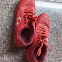 Jual Astec Murah & Terbaik - Harga Terbaru Agustus 2025