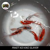 Jual Koi Slayer Terlengkap & Terbaik - Harga Murah Februari 2025