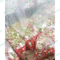 Jual Bunga Tabur Terlengkap - Harga Murah & Grosir Juni 2024