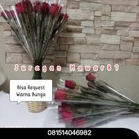 Jual Bunga Segar Terlengkap - Harga Murah & Grosir Februari 2025
