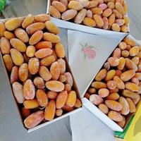 Jual Kurma Muda 1 Kg Terdekat - Harga Murah & Grosir Juni 2024