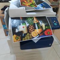Jual Fuji Xerox A3 Murah & Terbaik - Harga Terbaru Juni 2024