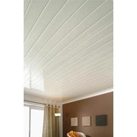 Jual Plafon PVC Putih Anti Rayap Mei 2024 - Tokopedia