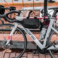 Jual Pacific Paradox Terlengkap - Harga Murah Juni 2024