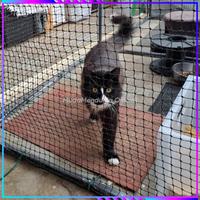 Jual Jaring Kucing Terlengkap & Terbaik - Harga Murah Mei 2024