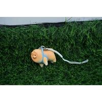 Mini Pom Anjing Harga Termurah - Kualitas Terbaik