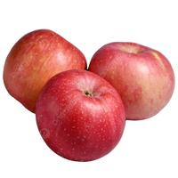 Jual Apel Rockit Terdekat - Harga Murah & Grosir April 2024