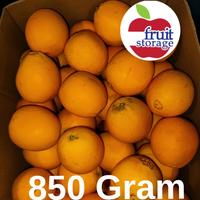 Jual Jeruk 1kg Murah - Harga Terbaru 2024