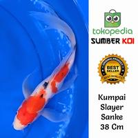 Jual Koi Slayer Terlengkap & Terbaik - Harga Murah April 2024