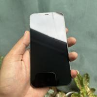 Harga iPhone 12 Second/Bekas Terbaru & Resmi Mei 2024