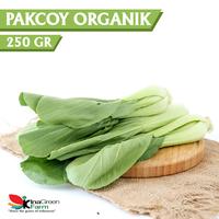 Pakcoy Harga Termurah & Grosir Mei 2024 - Tokopedia