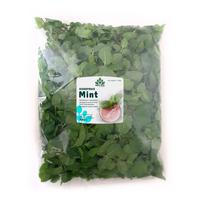 Jual Daun Mint Segar Terdekat - Harga Murah & Grosir Desember 2024