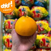 Jual Jeruk 1kg Murah - Harga Terbaru 2024