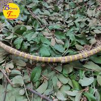 Toko Borma Tokma Online - Produk Lengkap & Harga Terbaik | Tokopedia