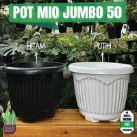 Jual Pot Tanaman Besar Terbaik - Harga Murah Februari 2025 & Cicil 0%