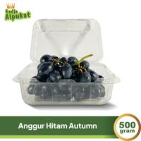 Jual Anggur Autumn Terdekat - Harga Murah & Grosir Mei 2025