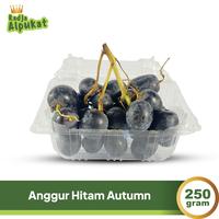 Jual Anggur Autumn Terdekat - Harga Murah & Grosir Juni 2024