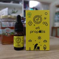 Jual Efi Propolis Murah - Harga Terbaru April 2024