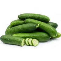 Jual Timun 1kg Murah - Harga Terbaru 2024