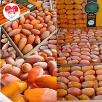 Jual Kurma Muda 1 Kg Terdekat - Harga Murah & Grosir Mei 2024